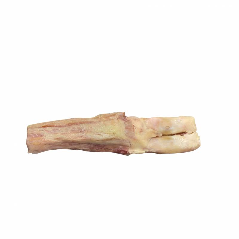 Grass-fed Beef Tendon