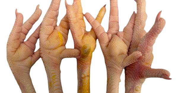 Organic Chicken Feet