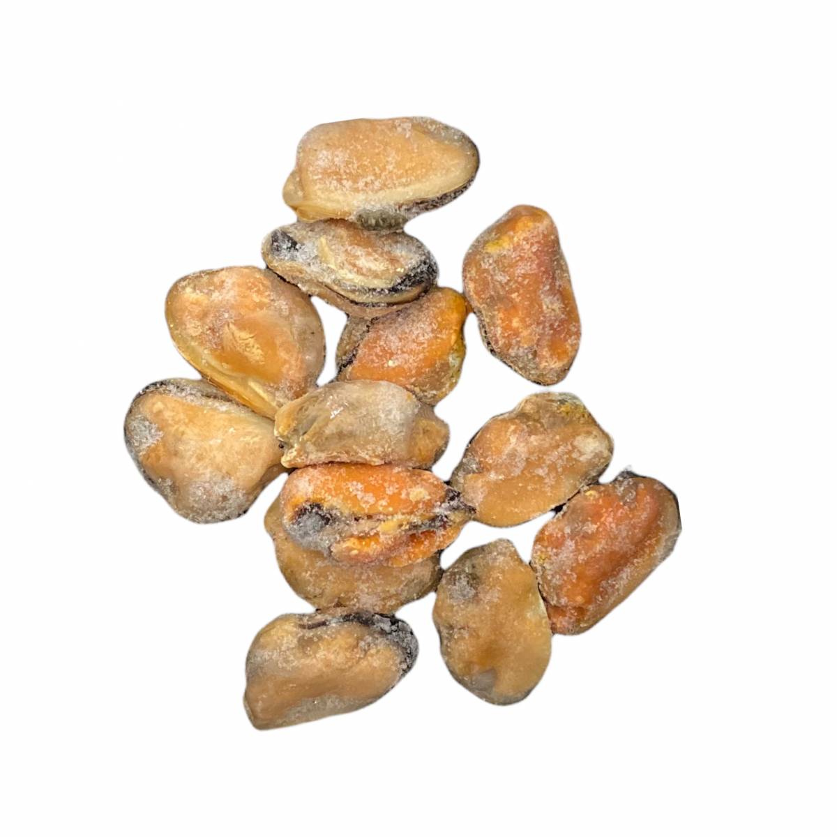 Blue Mussels