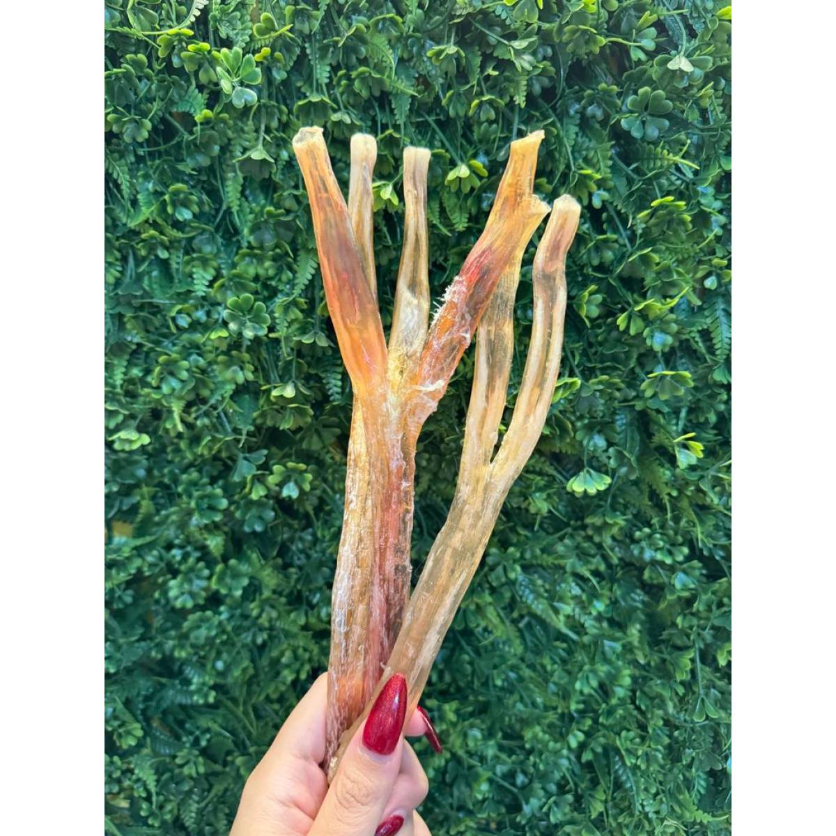 Air Dried Beef Tendon (50g)