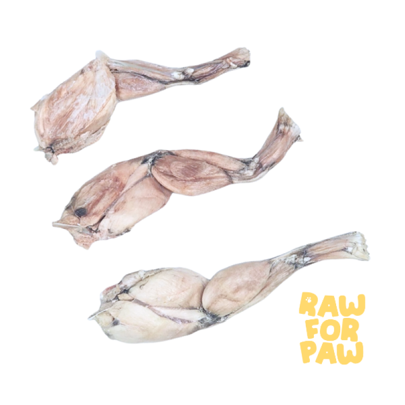 Freeze Dried Frog Leg