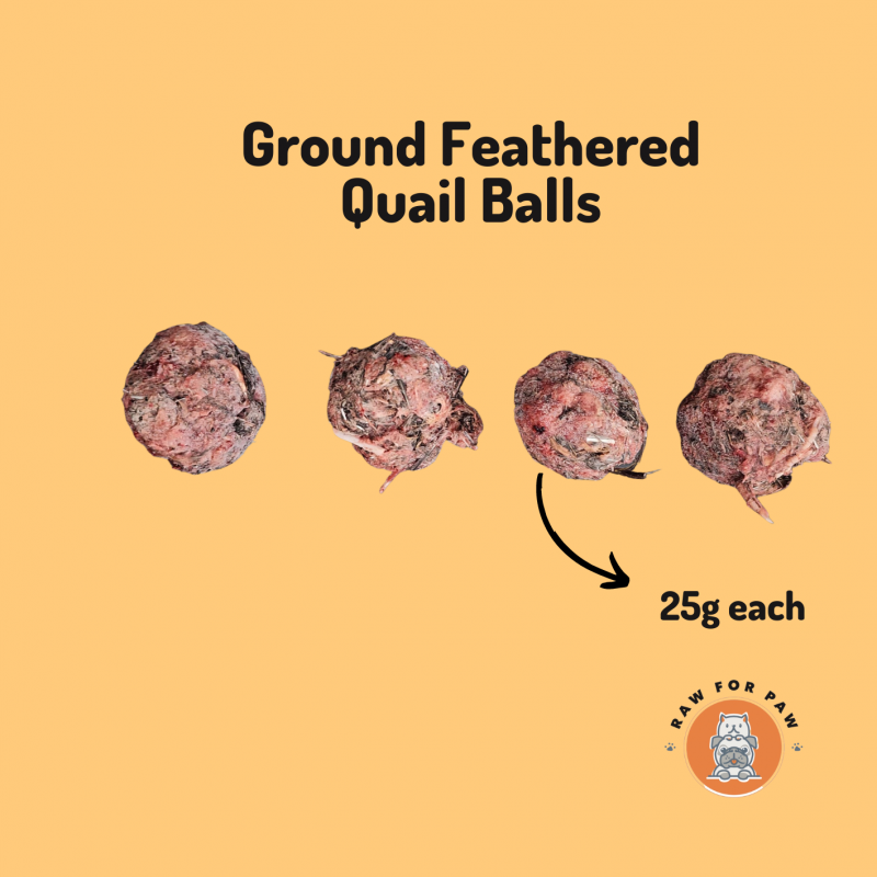 Ground Quail with Feathers Balls